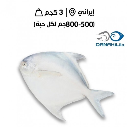 Buy Danah Fresh Iranian Zubaidi Large Fish (500 - 800 g Per Piece) 3 kg ...