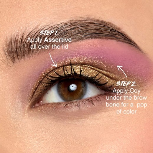 Buy Maybelline Color Rivals Assertive x Coy Eye Shadow | توصيل Taw9eel.com