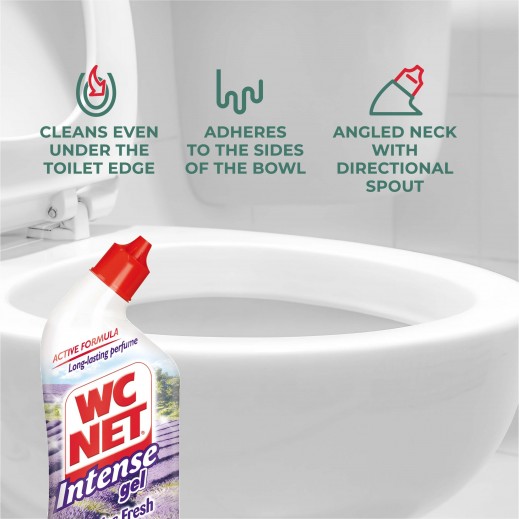 Buy Wc Net Intense Lavender Fresh Toilet Cleaner Gel 750 ml | توصيل ...