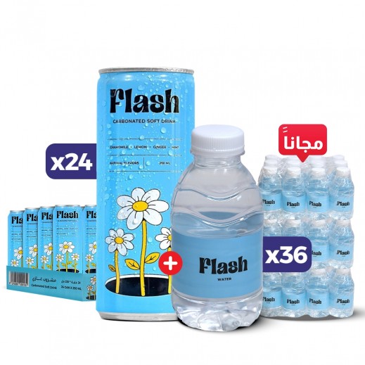 Buy Flash Mix Natural Flavour Soft Drink 24 x 250 ml + Flash Water 36 × ...