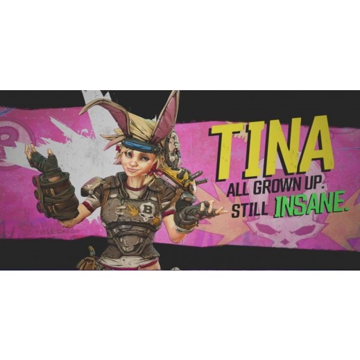 Buy Tiny Tina's Wonderlands Game For PS4 - PAL | توصيل Taw9eel.com
