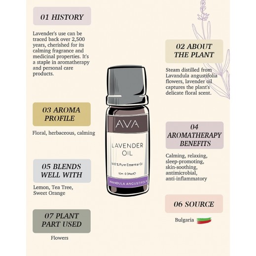 Buy Ava Lavender Oil 10 ml | توصيل Taw9eel.com