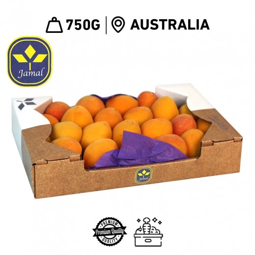 Buy Fresh Australian Apricots Box (750 g Approx.) | توصيل Taw9eel.com