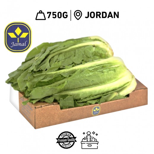 Buy Fresh Roman Lettuce Box (750 g Approx) | توصيل Taw9eel.com