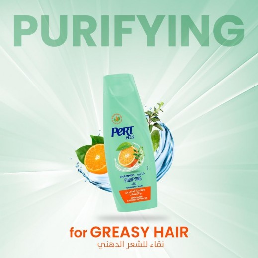Buy Pert Plus Mandarin Purifying Shampoo for Greasy Hair 400 ml | توصيل ...