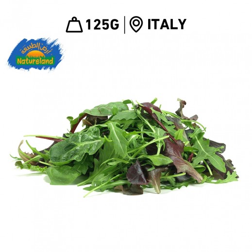 Buy Natureland Fresh Organic Baby Leaf Mix Packet 125 g - delivered by ...