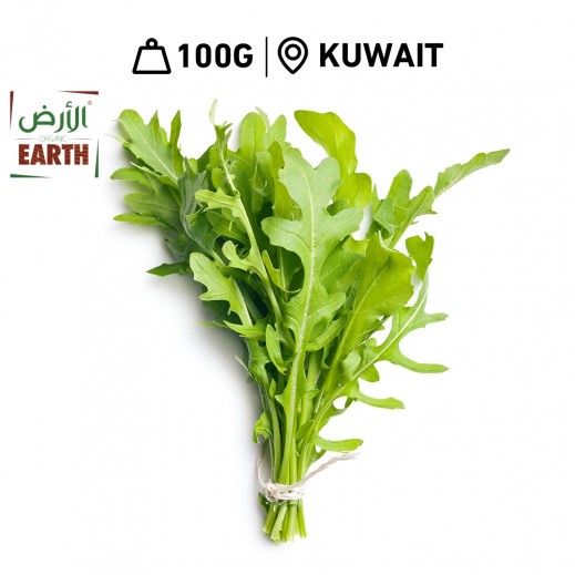 Buy Earth Organic Fresh Herbs Rocket Bunch 100 g | توصيل Taw9eel.com