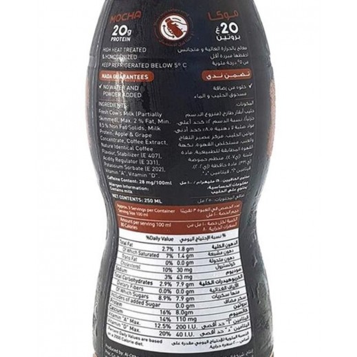 Buy Nada Protein Milk IC Plus Mocha Iced Coffee 250 ml | توصيل Taw9eel.com