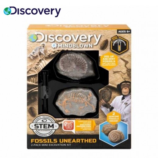Buy Discovery Excavation Kit Mini Fossil - 2 Pieces | توصيل Taw9eel.com