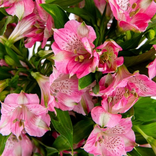Buy Sogha Decorated Stand With 3 Assorted Bunch Of Flowers - delivered ...